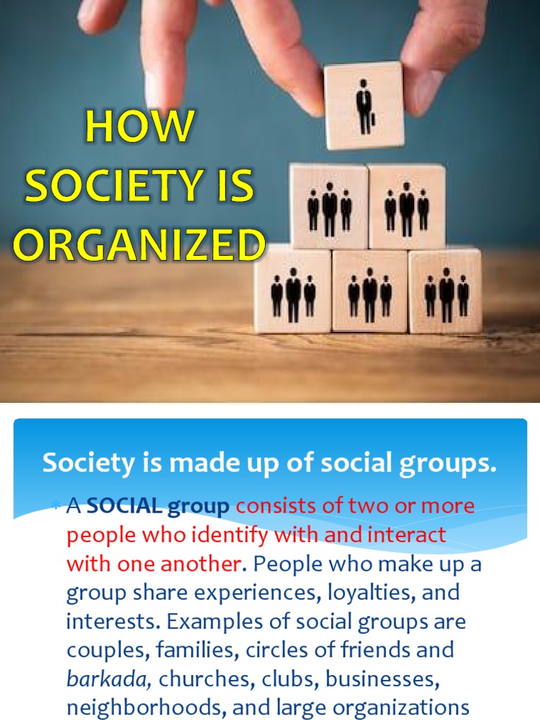 Understanding Social Organization | PDF | Social Group | Sociological ...