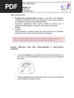 Grampos em PPR - Resumo | PDF | Dente