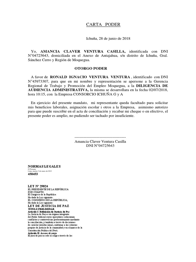 Carta Poder | PDF | Juez | Jurisdicción