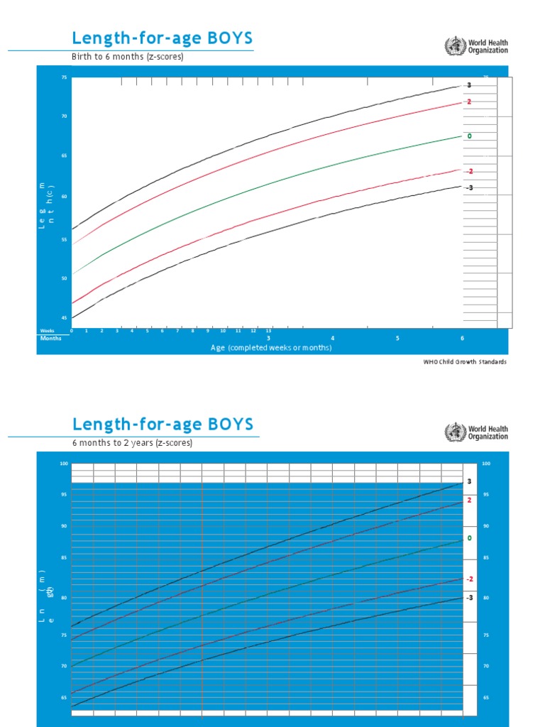Length-For-Age BOYS: Birth To 6 Months (Z-Scores) | PDF | Human Size ...