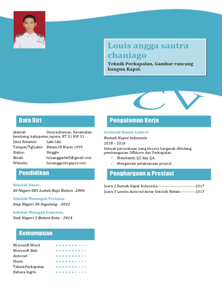 CV Louis PDF | PDF
