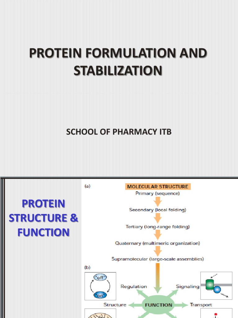 Protein Formulation and Stabilization: School of Pharmacy Itb | PDF ...