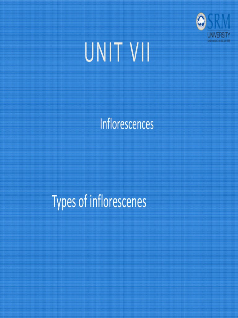 Inflorescences PDF | PDF | Horticulture And Gardening | Botany