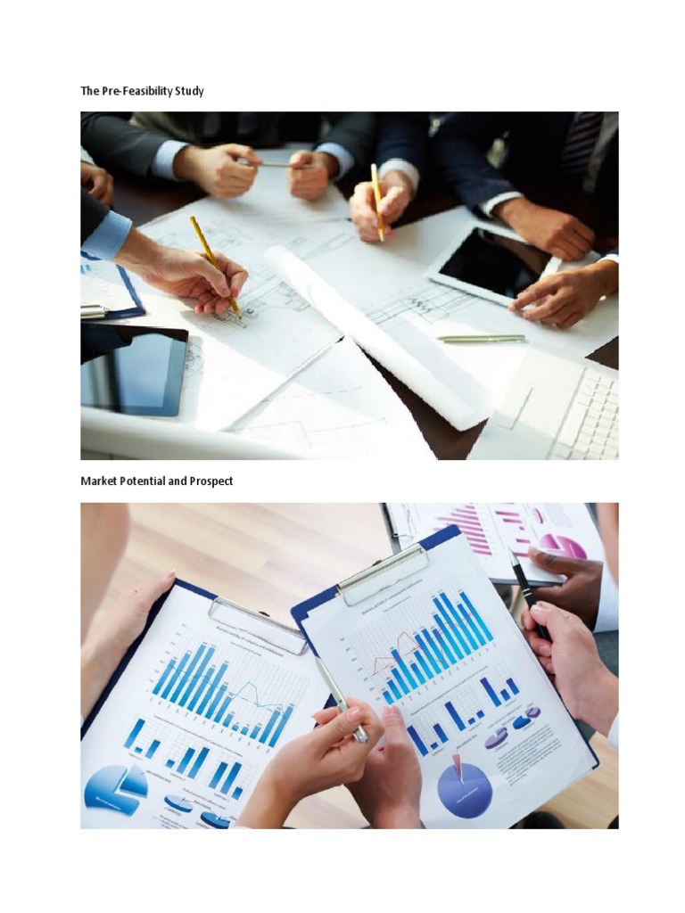 The Pre-Feasibility Study | PDF