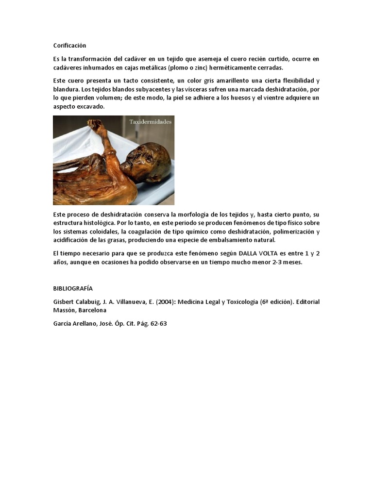 Corificación Cadavérica: Proceso y Características | PDF