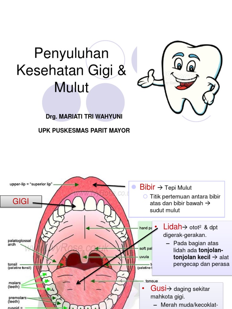 MENGENAL BAGIAN-BAGIAN MULUT DAN PENCEGAHAN PENYAKIT GIGI DAN MULUT | PDF