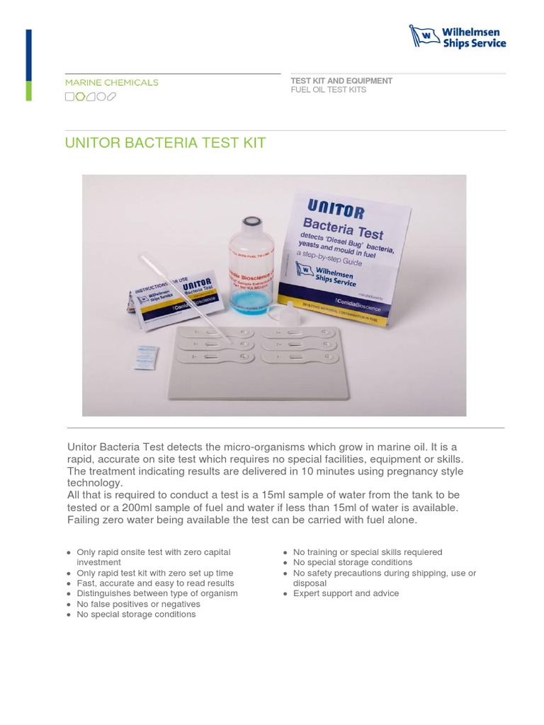 Bacteria Test Flyer | PDF | Biofilm | Microorganism