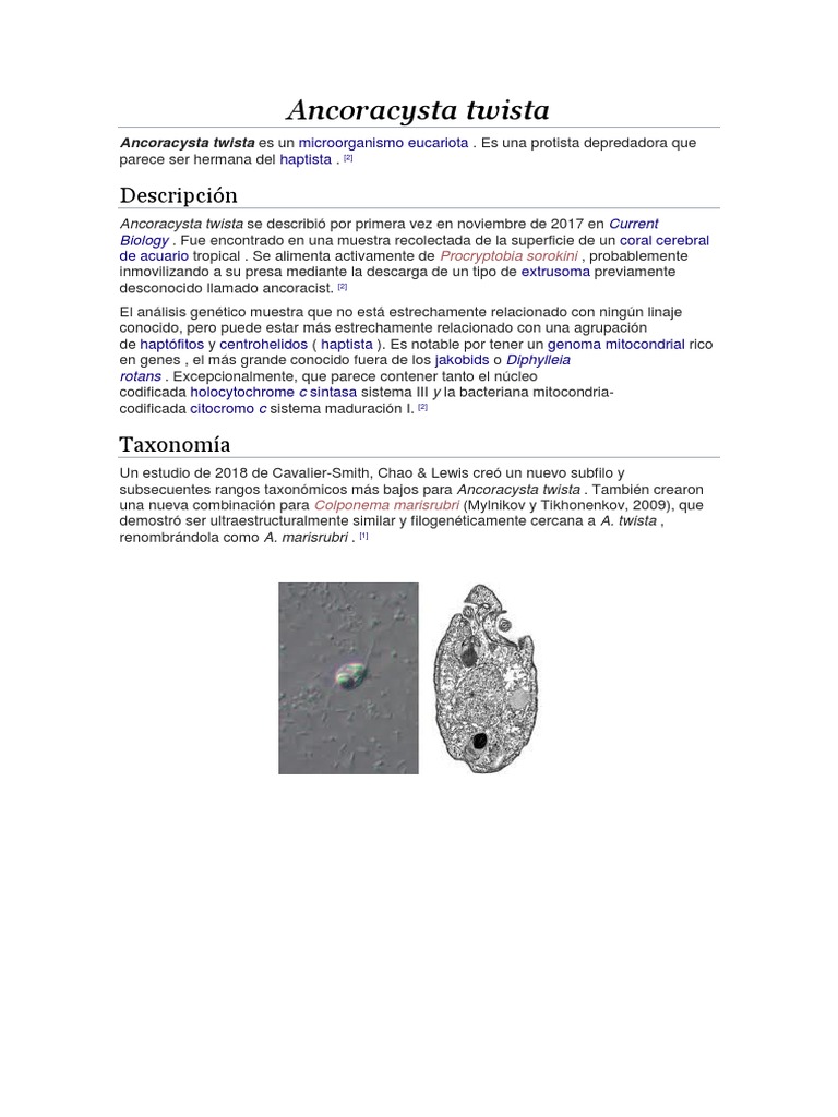 Ancoracysta Twista | PDF