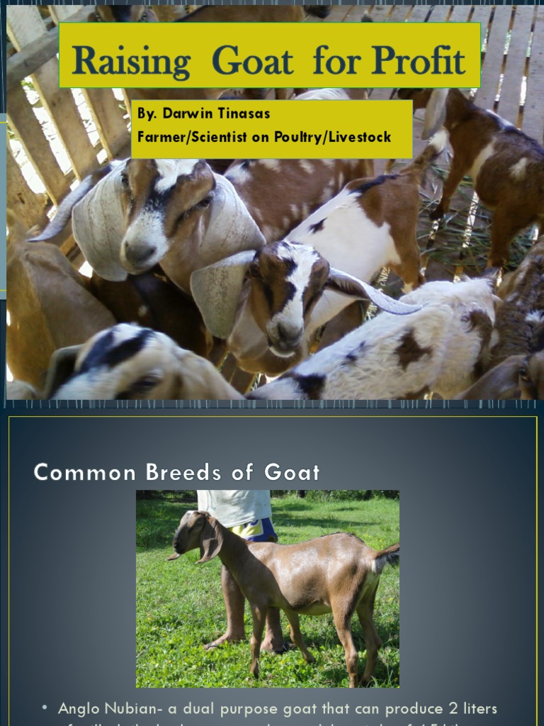 Raising Goats For Profit | PDF | Goat | Milk