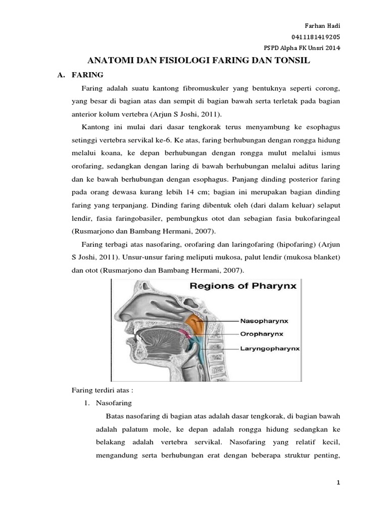 Anatomi Dan Fisiologi Faring Dan Tonsil | PDF