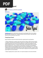 Makalah Kapsul | PDF