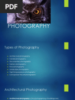 Digital Photography Types Guide | PDF