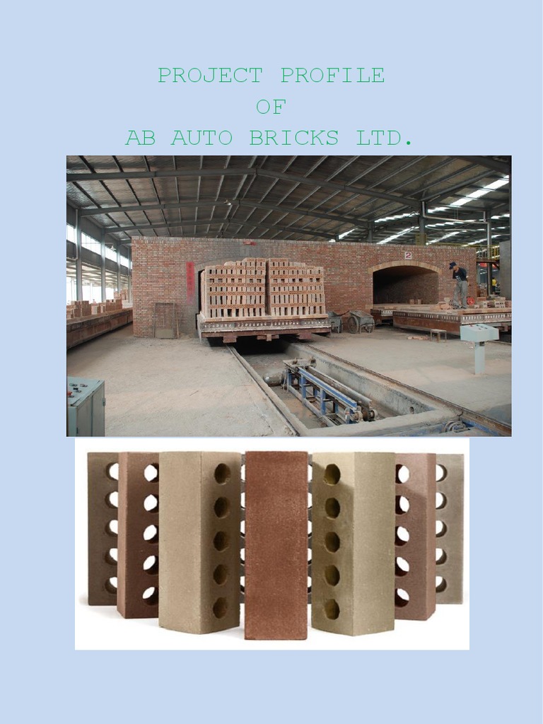 Project Profile OF Ab Auto Bricks LTD | PDF