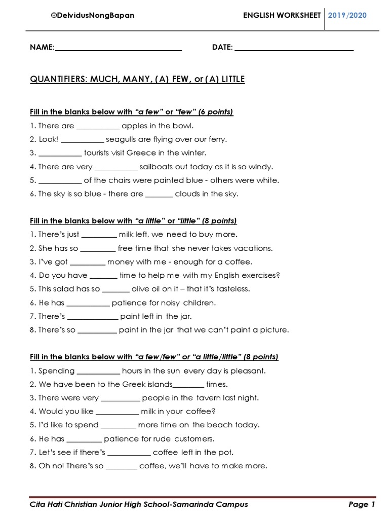 Some Any Much Many A Lot Of A Few A Little Exercises Pdf
