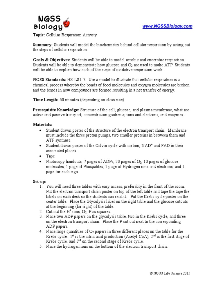 © NGSS Life Science 2015 | PDF | Cellular Respiration | Citric Acid Cycle