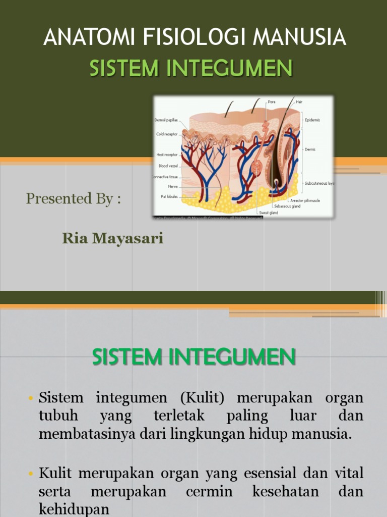 Sistem Integumen | PDF | Griya & Taman | Kesehatan Holistik