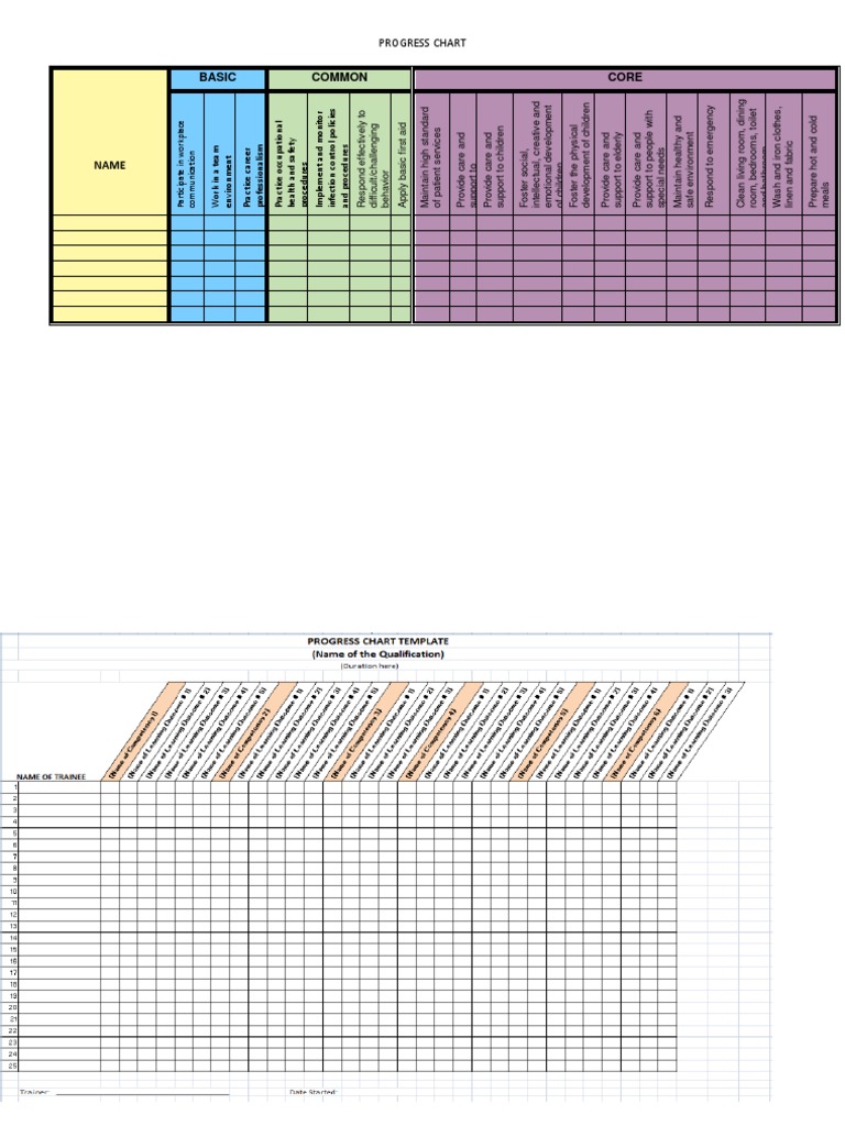 Basic Common Core: Progress Chart | PDF