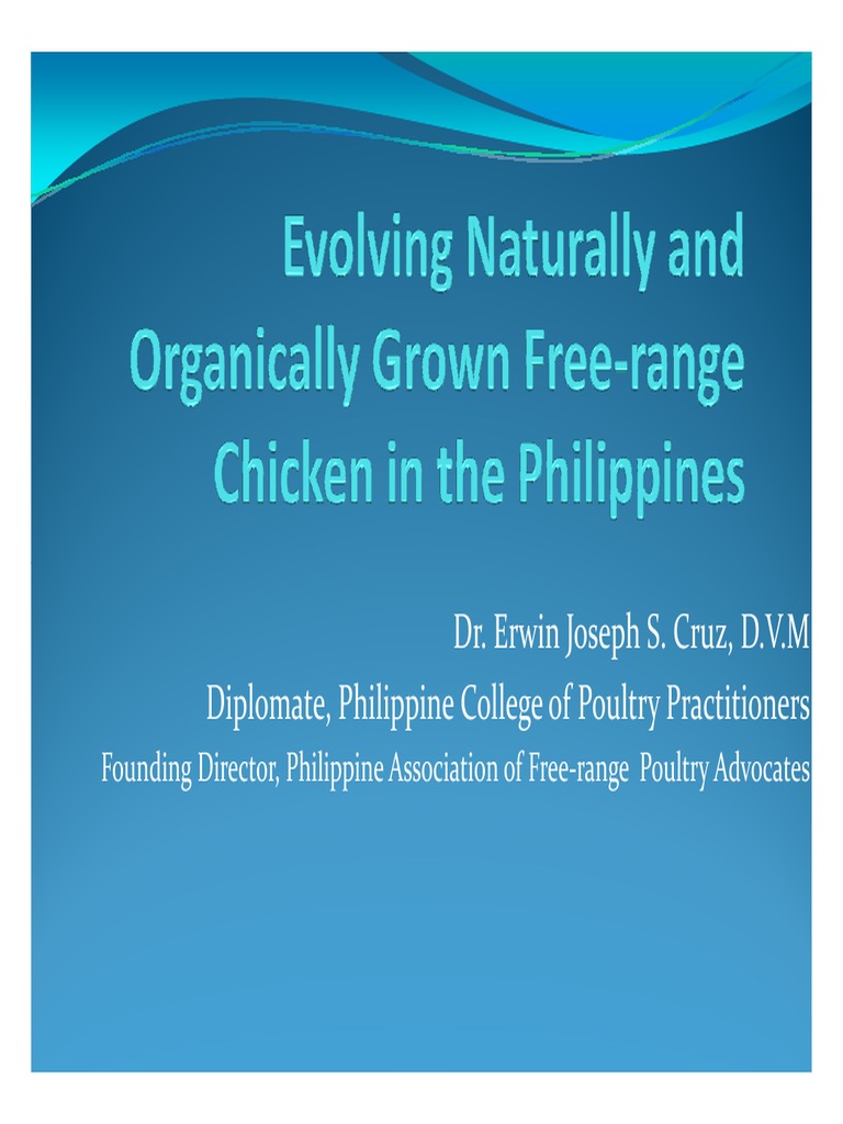 Free Range Chiken | PDF | Chicken | Poultry