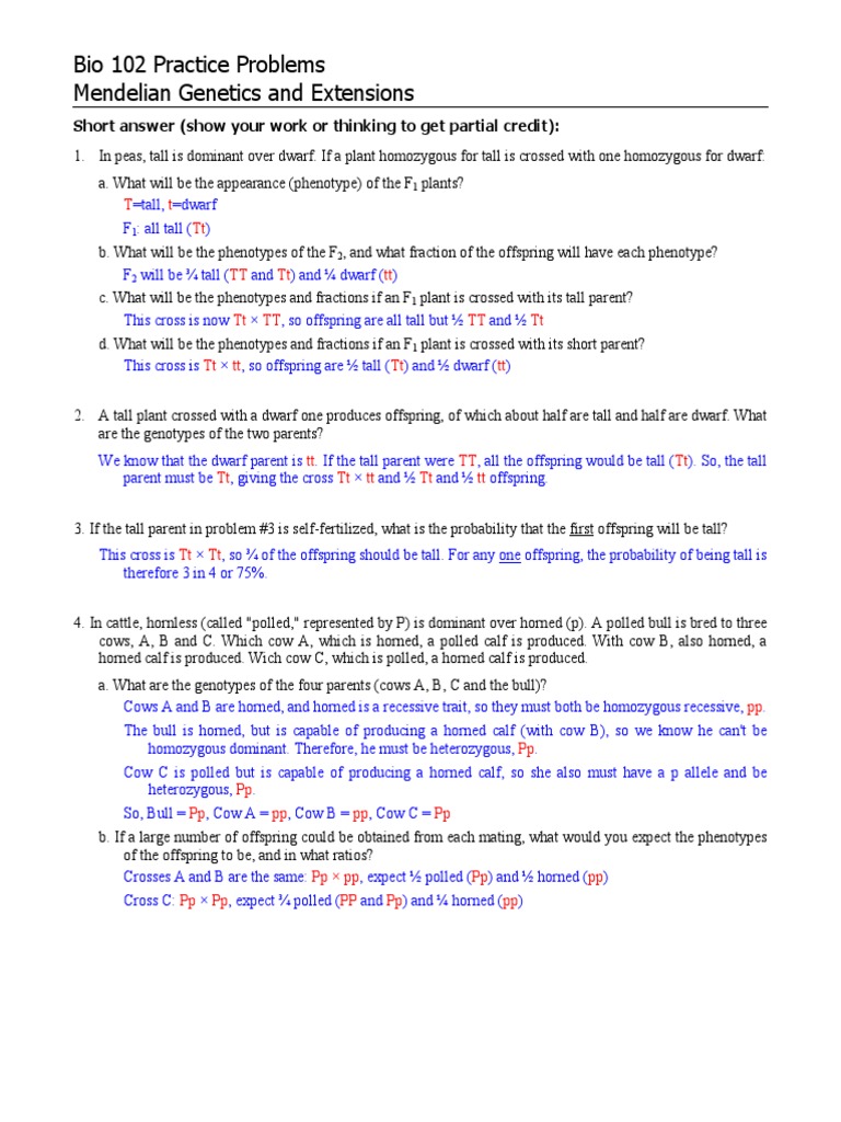 Bio 102 Practice Problems Mendelian Genetics and Extensions: T T TT ...