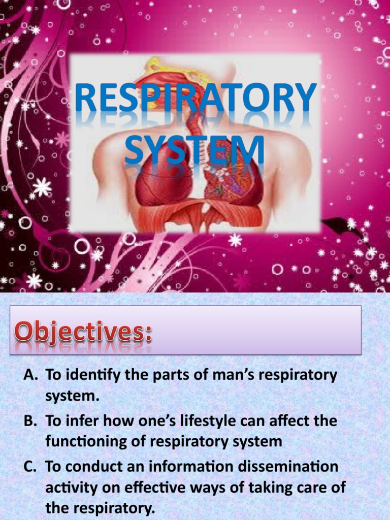 Science Grade 9 | PDF | Respiratory System | Lung
