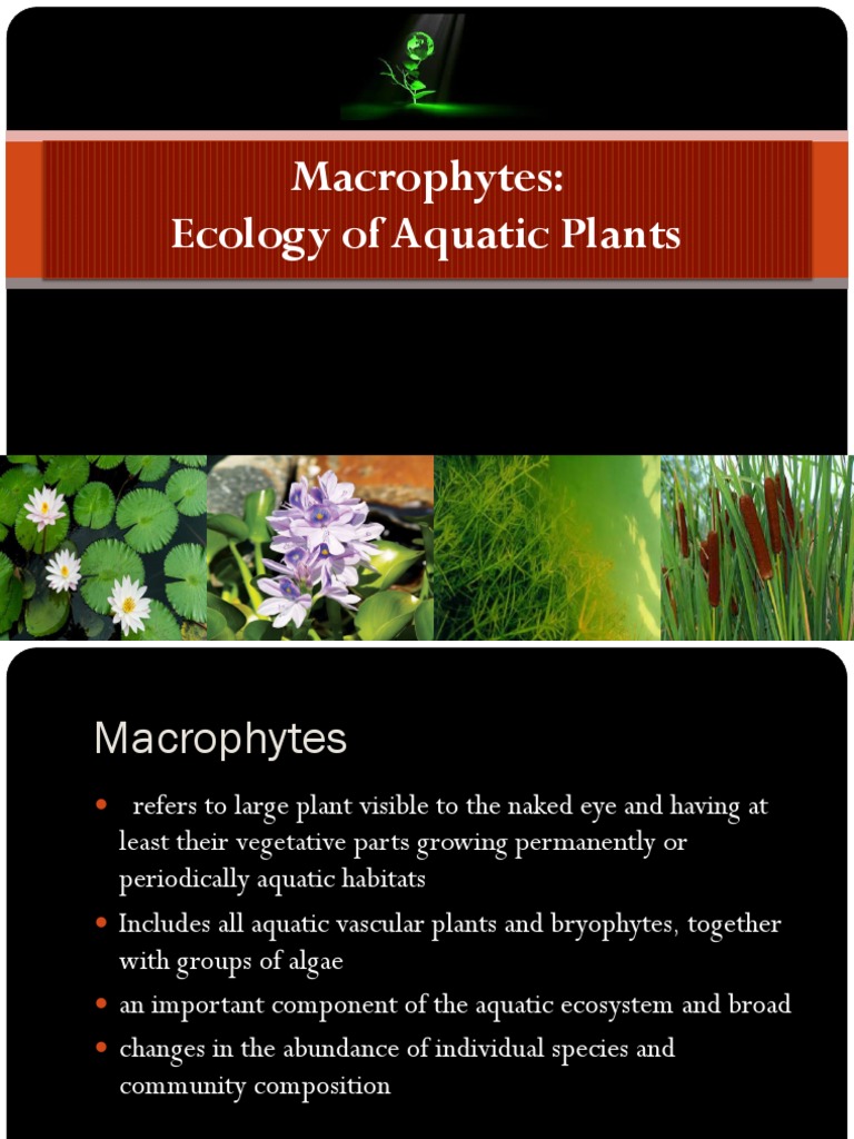 Macrophytes: Ecology of Aquatic Plants | PDF | Environmental Science ...