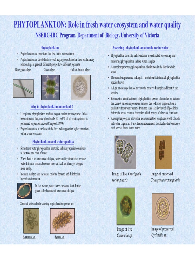 Phytoplankton Poster | PDF | Phytoplankton | Algae