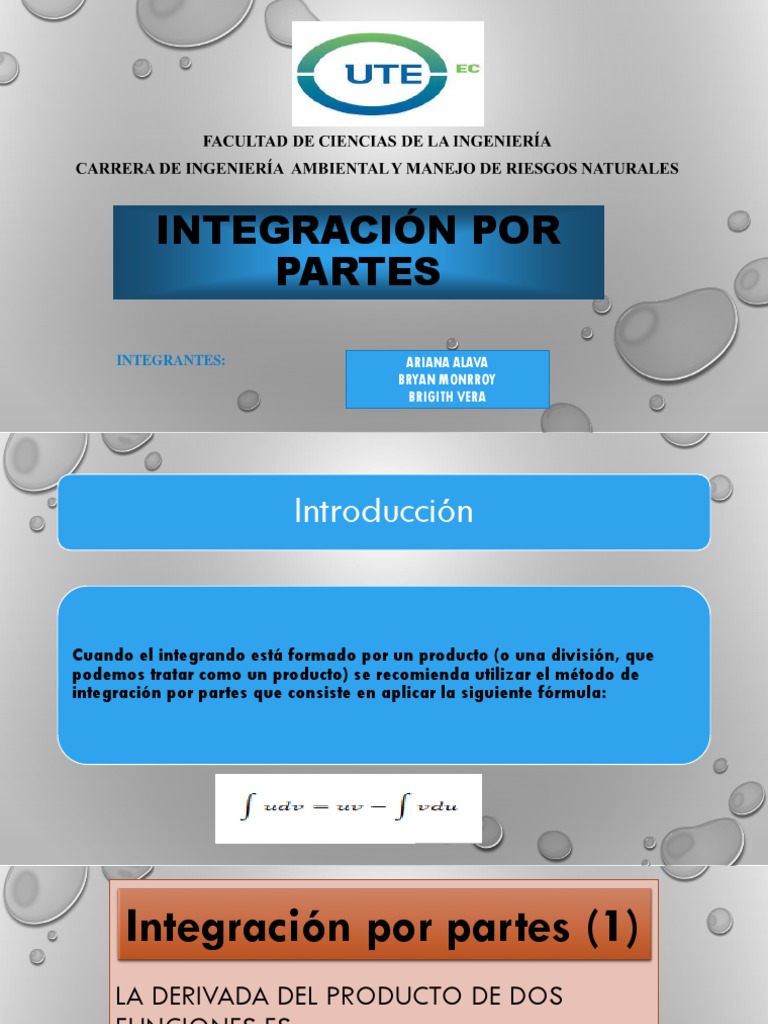Diapositivas Integracion | PDF