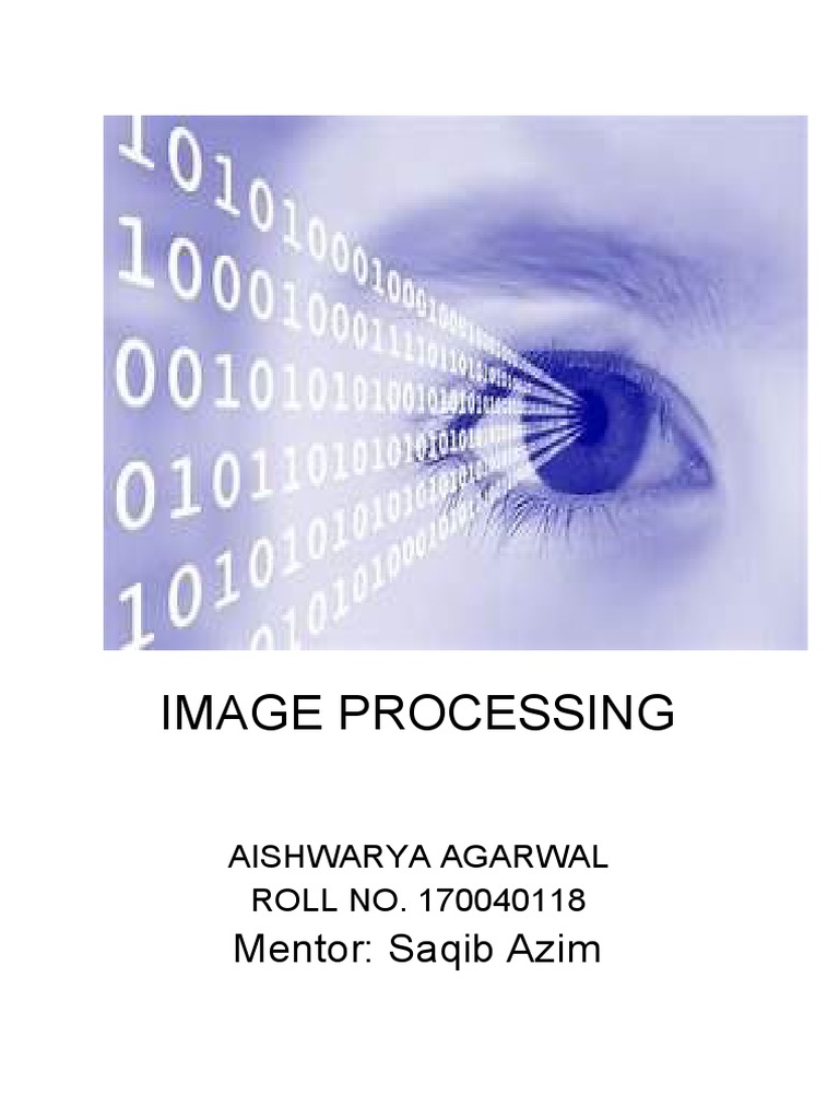 An In-Depth Exploration of Fundamental Image Processing Concepts and ...