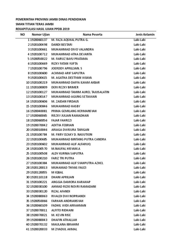 Rekapitulasi Hasil Ujian PPDB SMAN Titian Teras Jambi Tahun 2019 | PDF
