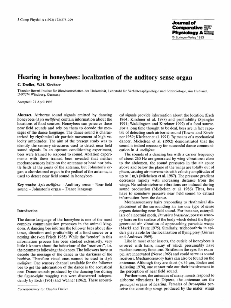 Hearing in Honeybees Localization of The Auditory Sense Organ | PDF ...