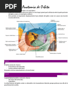 Diaz Apaza Anthony Jesus-Diascopia - Vitropresion | PDF ...