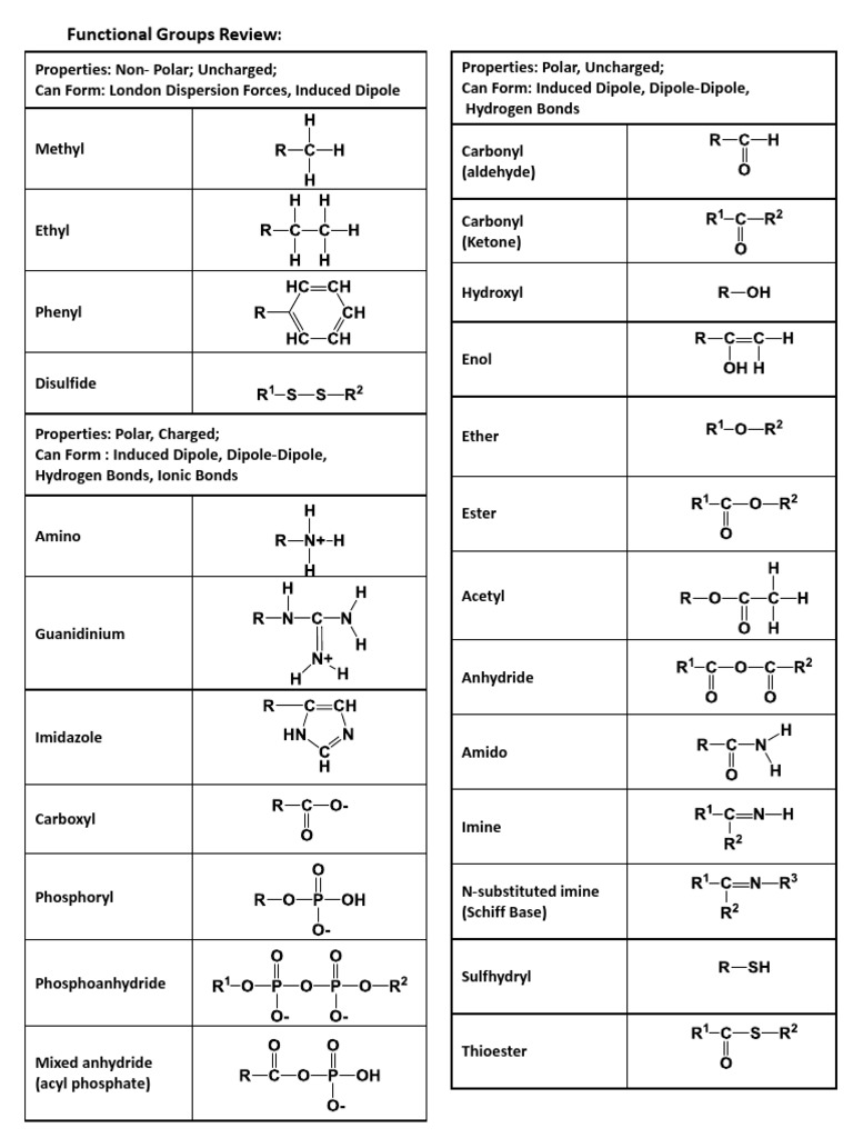 An Informative Guide to Common Functional Groups: Their Properties and ... An Informative Guide to Common Functional Groups: Their Properties and ...