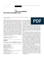 Pathways To Participation Shier 2001 | PDF | Decision Making | Children ...