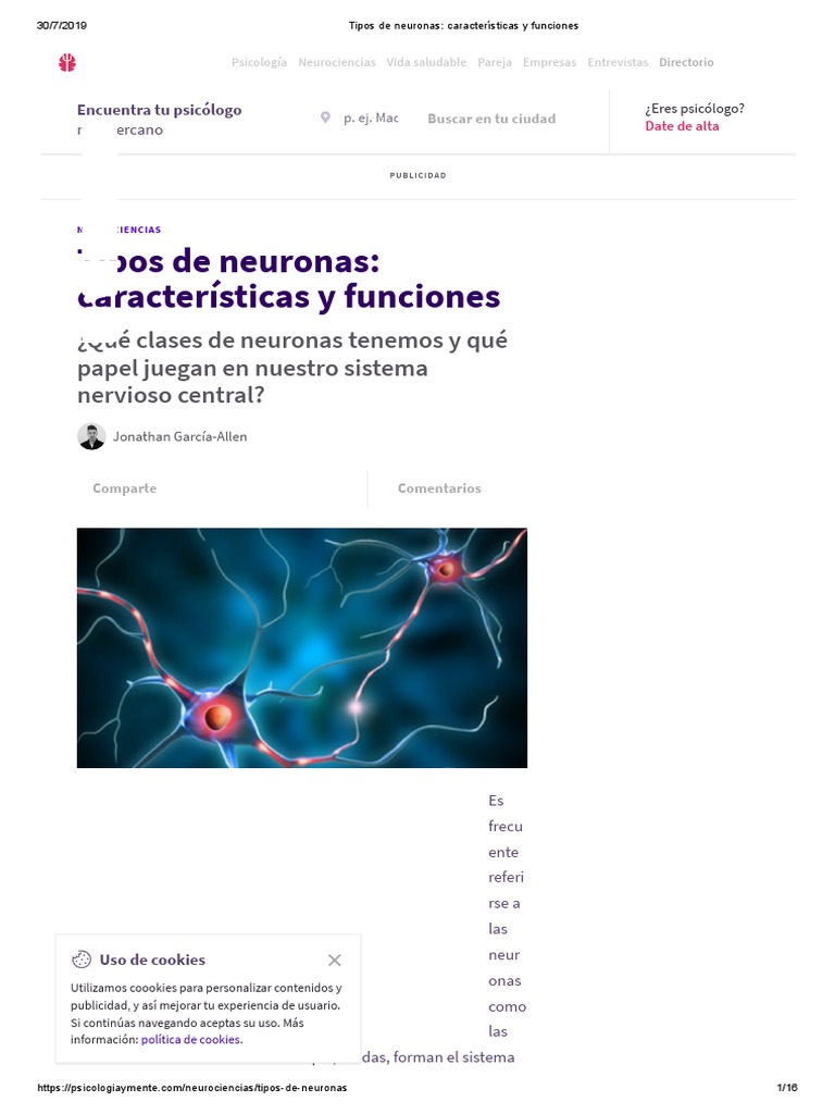 Tipos de Neuronas - Características y Funciones PDF | PDF | Sinapsis ...