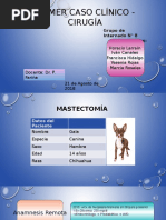 Caudectomía: Técnica Quirúrgica en Animales | PDF | Especialidades ...