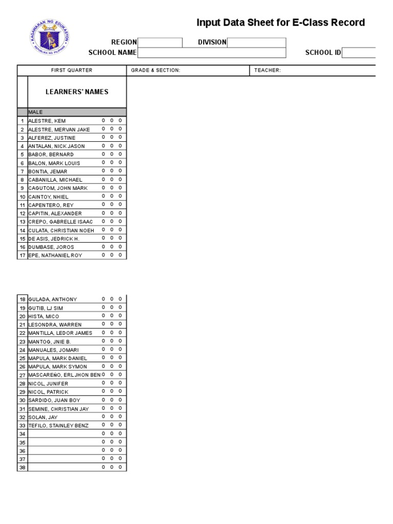 E-Class Record Input Data Sheet | PDF