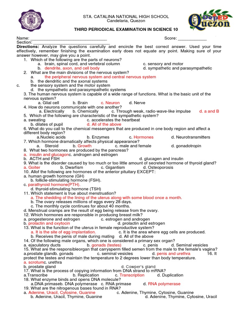 3rd Quarter g10 With Key | PDF | Rna | Dna