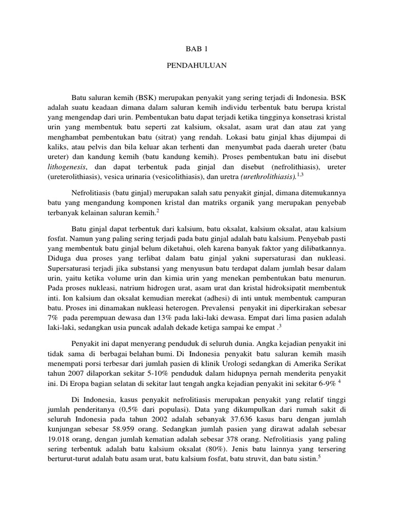 Lapkas Urologi | PDF