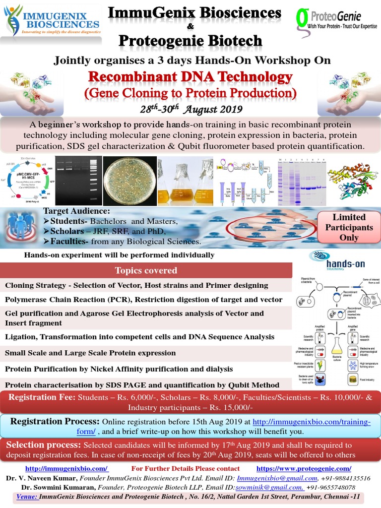 RDNA Technology Workshop - 28th - 30th Aug2019 | PDF | Molecular ...