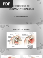 Ejercicios de Risser | PDF | Pie | Especialidades Medicas
