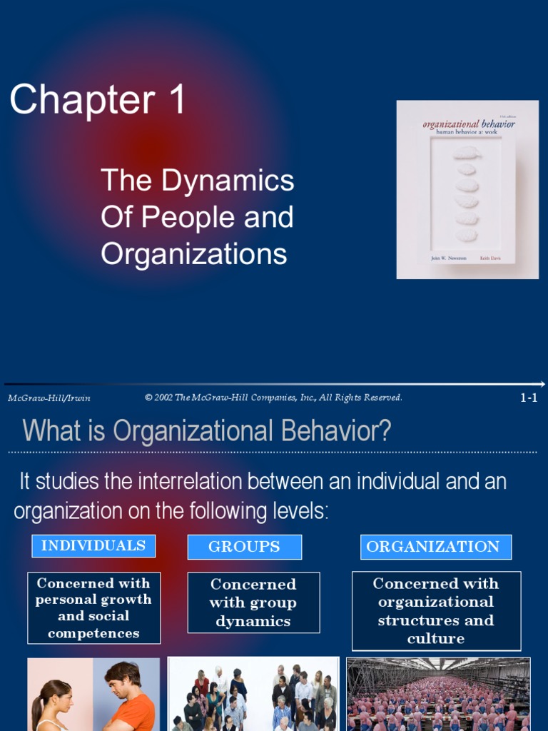 The Dynamics of People and Organizations: Mcgraw-Hill/Irwin © 2002 The ...