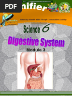 Digestive System GIZMO | PDF | Digestion | Small Intestine