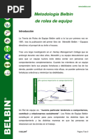 Modelo Roles Equipo Belbin | PDF | Aprendizaje | Mente