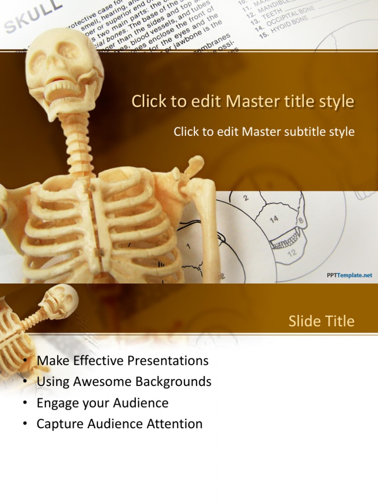 01 Anatomy PPT Template | PDF | Art