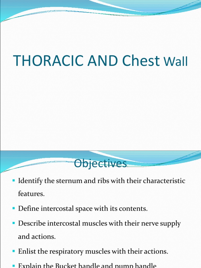 3 Chest Wall | PDF | Thorax | Thorax (Human Anatomy)