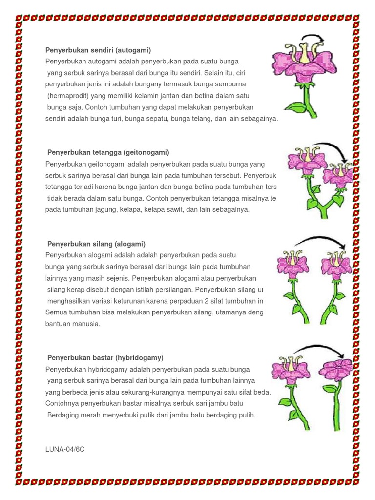 21+ Contoh Penyerbukan Sendiri Pada Bunga yang Lagi Ngetrend ...