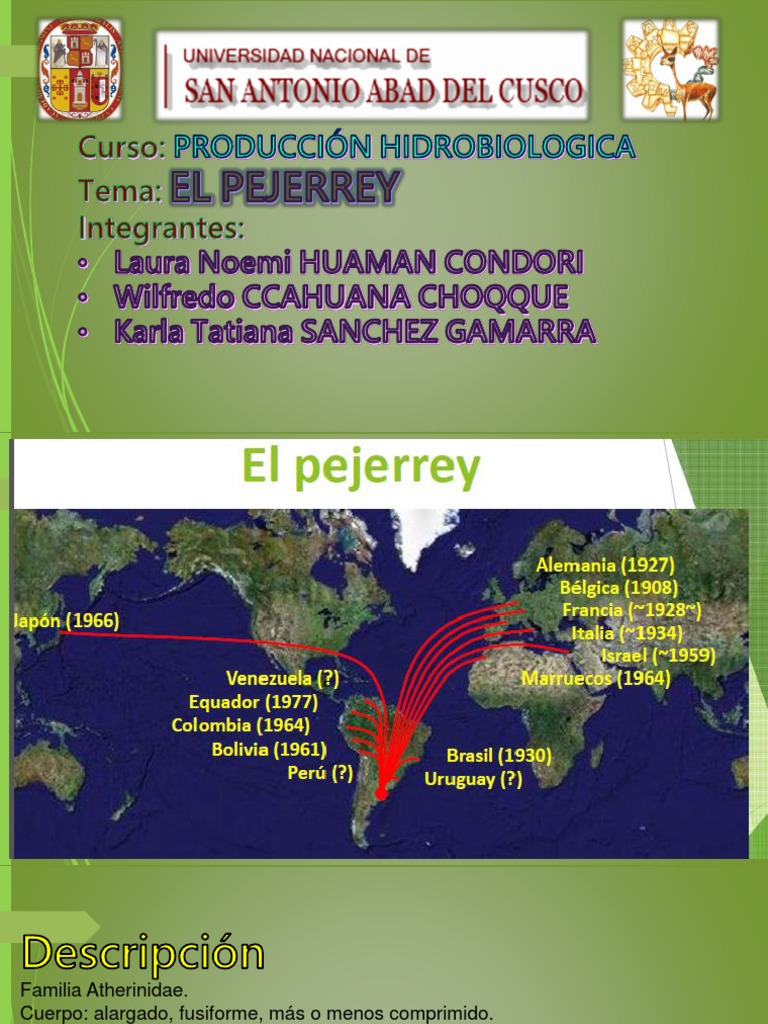 Pejer Rey | PDF | Naturaleza