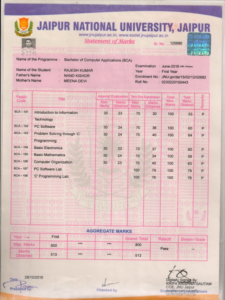 BCA 1st Year | PDF