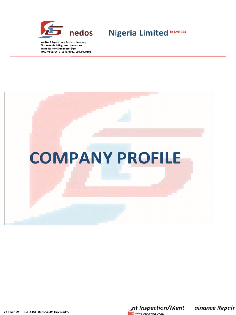 Belema Profile Correct | PDF | Instrumentation | Goal