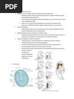 List of Ectomies | PDF | Mastectomy | Stomach